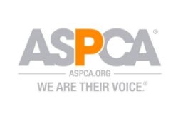 Best Pet Insurance Companies of July 2025 | Fortunly